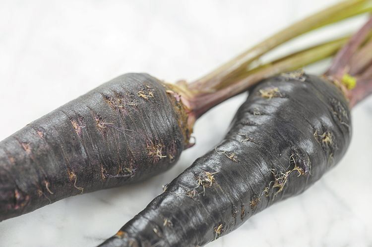 FARM SHOW Magazine - The BEST stories about Made-It-Myself Shop ...