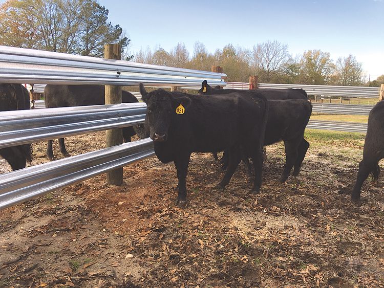 FARM SHOW Magazine - The BEST stories about Made-It-Myself Shop ...