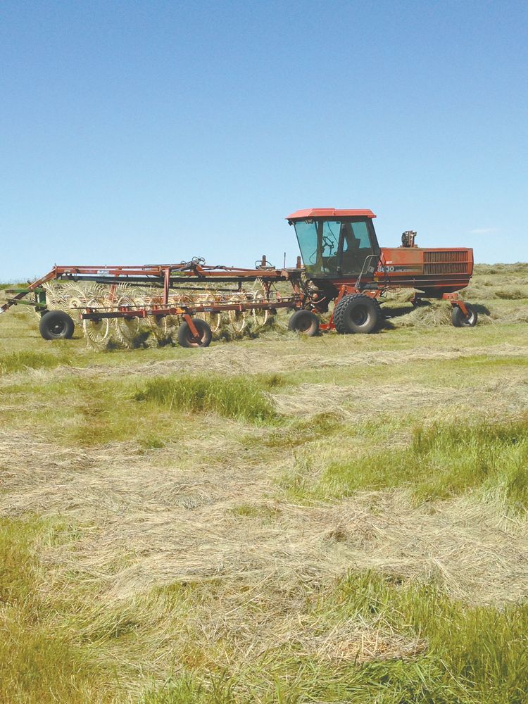 FARM SHOW Magazine - The BEST stories about Made-It-Myself Shop ...