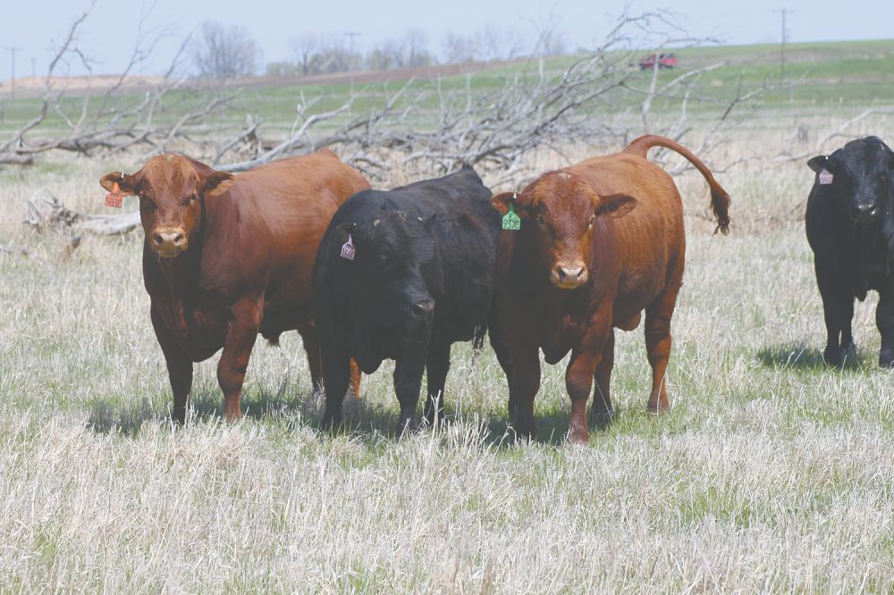 FARM SHOW Magazine - The BEST stories about Made-It-Myself Shop ...