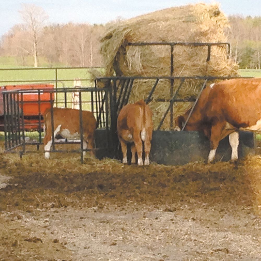 FARM SHOW Magazine - The BEST stories about Made-It-Myself Shop ...