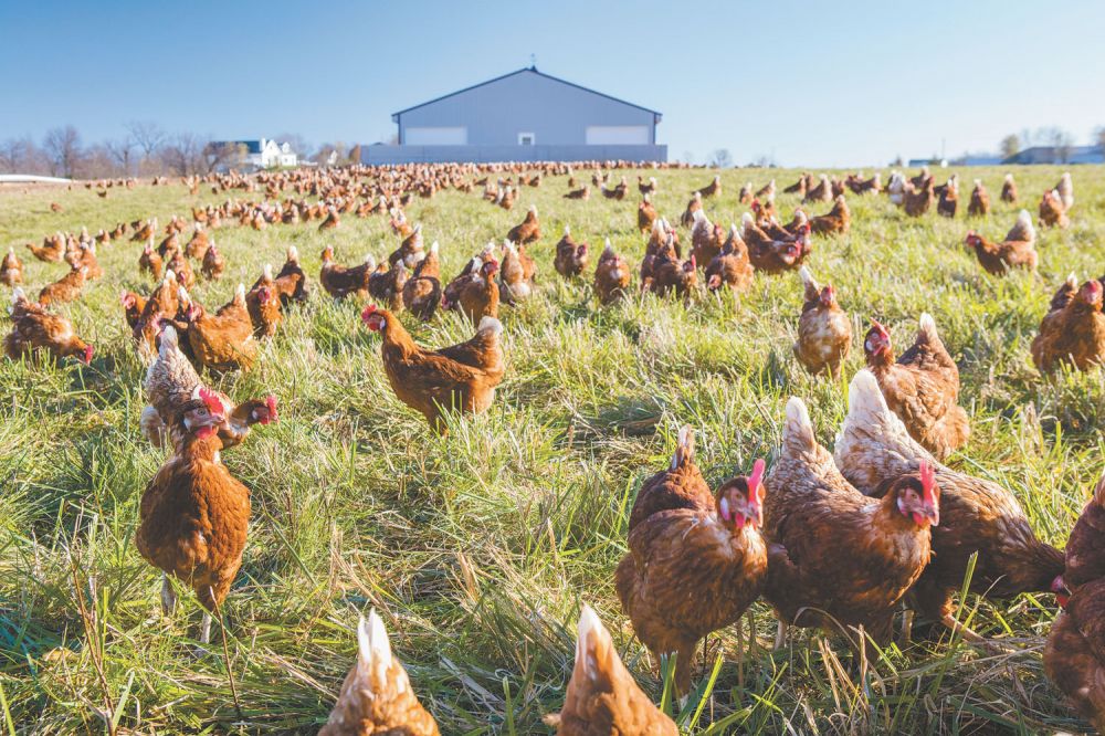 FARM SHOW Magazine - The BEST stories about Made-It-Myself Shop ...