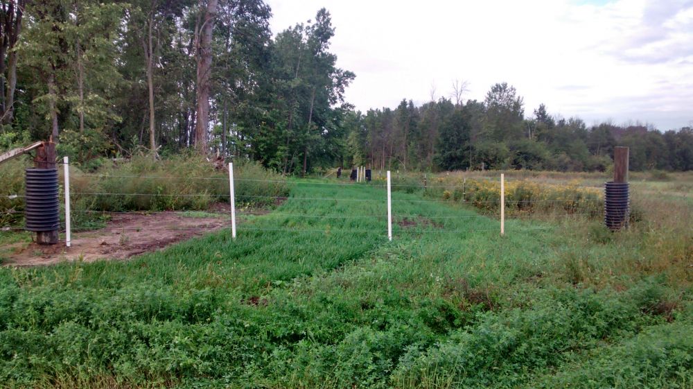 FARM SHOW Magazine - The BEST stories about Made-It-Myself Shop ...