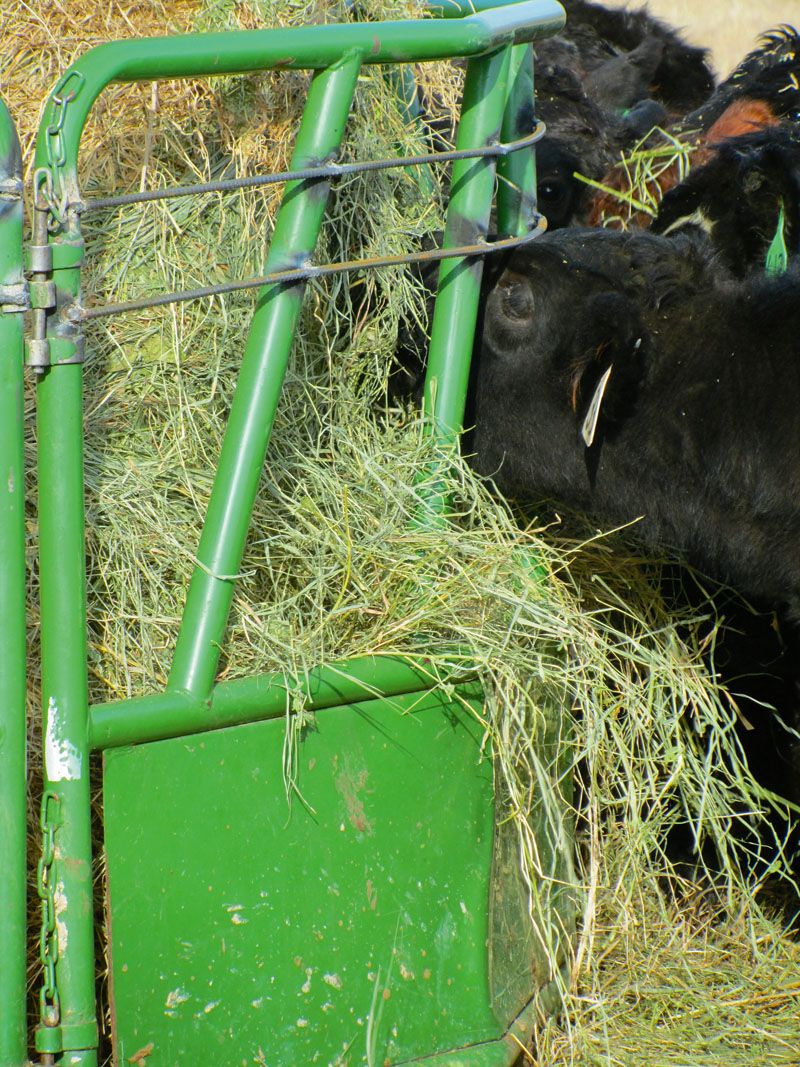 FARM SHOW Magazine - The BEST stories about Made-It-Myself Shop ...