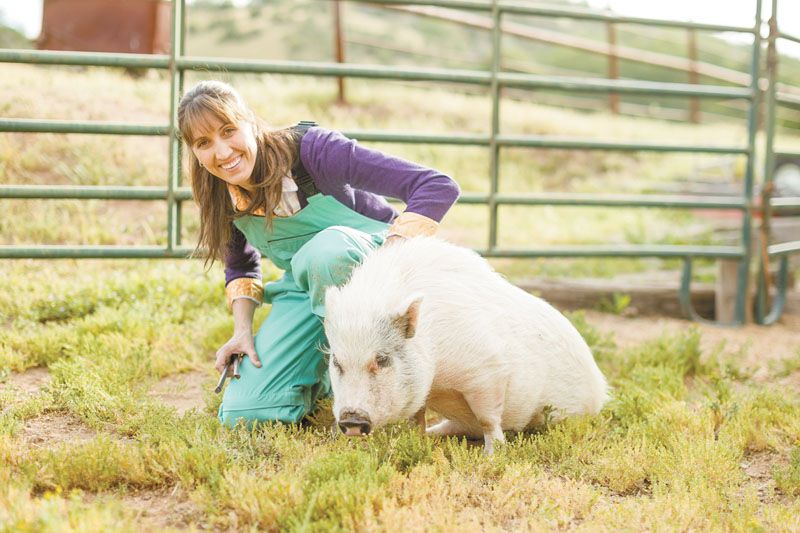 FARM SHOW Magazine - The BEST stories about Made-It-Myself Shop ...