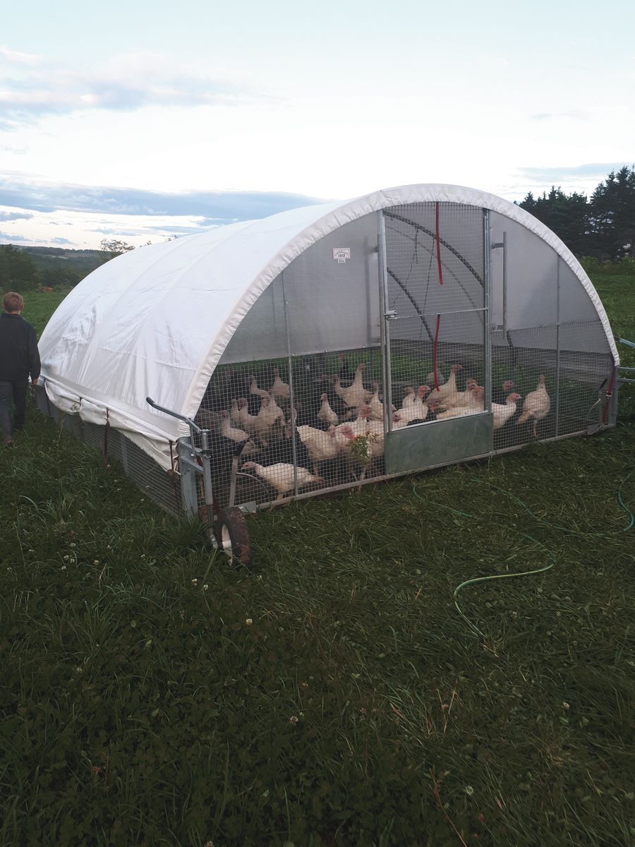 FARM SHOW Magazine - The BEST stories about Made-It-Myself Shop ...