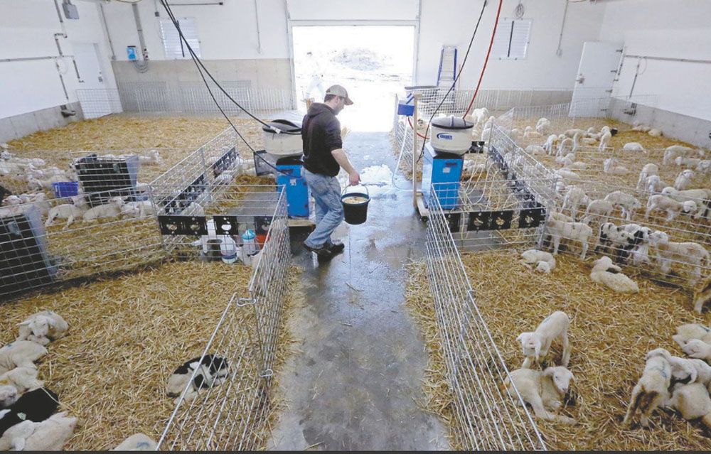 FARM SHOW Magazine - The BEST stories about Made-It-Myself Shop ...