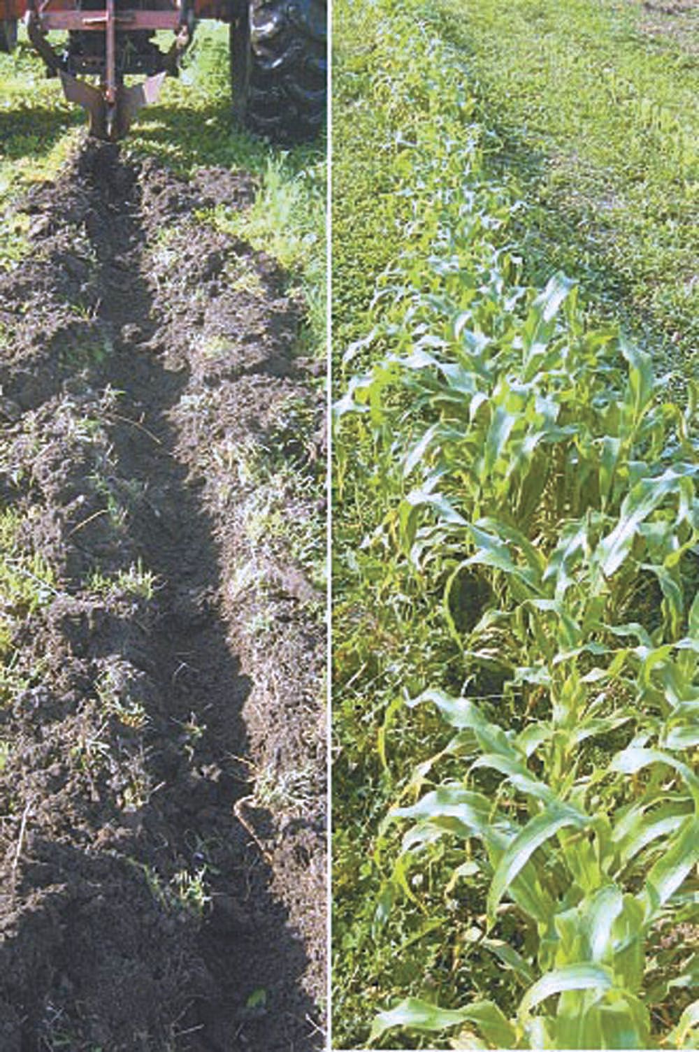 FARM SHOW Magazine - The BEST stories about Made-It-Myself Shop ...