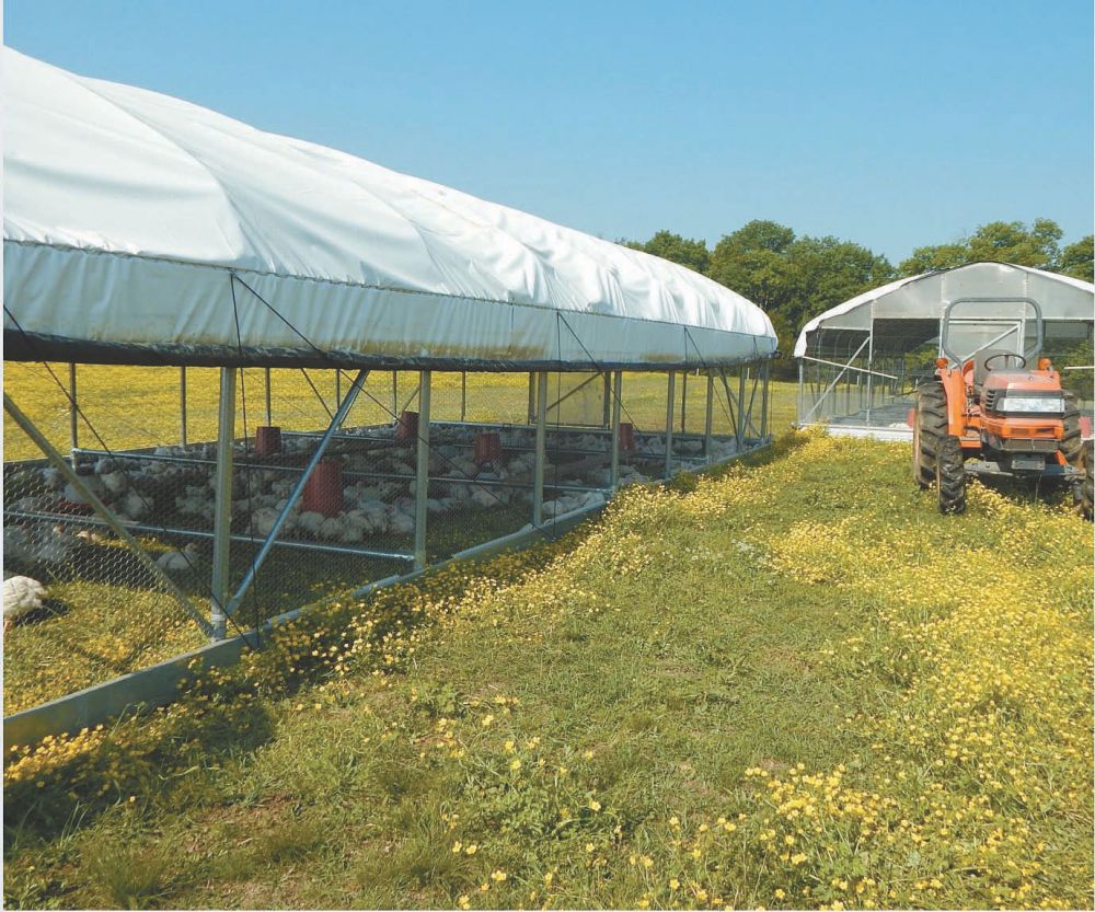 FARM SHOW Magazine - The BEST stories about Made-It-Myself Shop ...