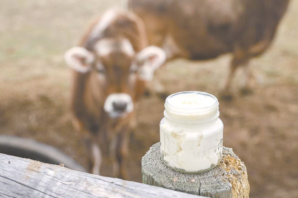 FARM SHOW Magazine - The BEST stories about Made-It-Myself Shop ...