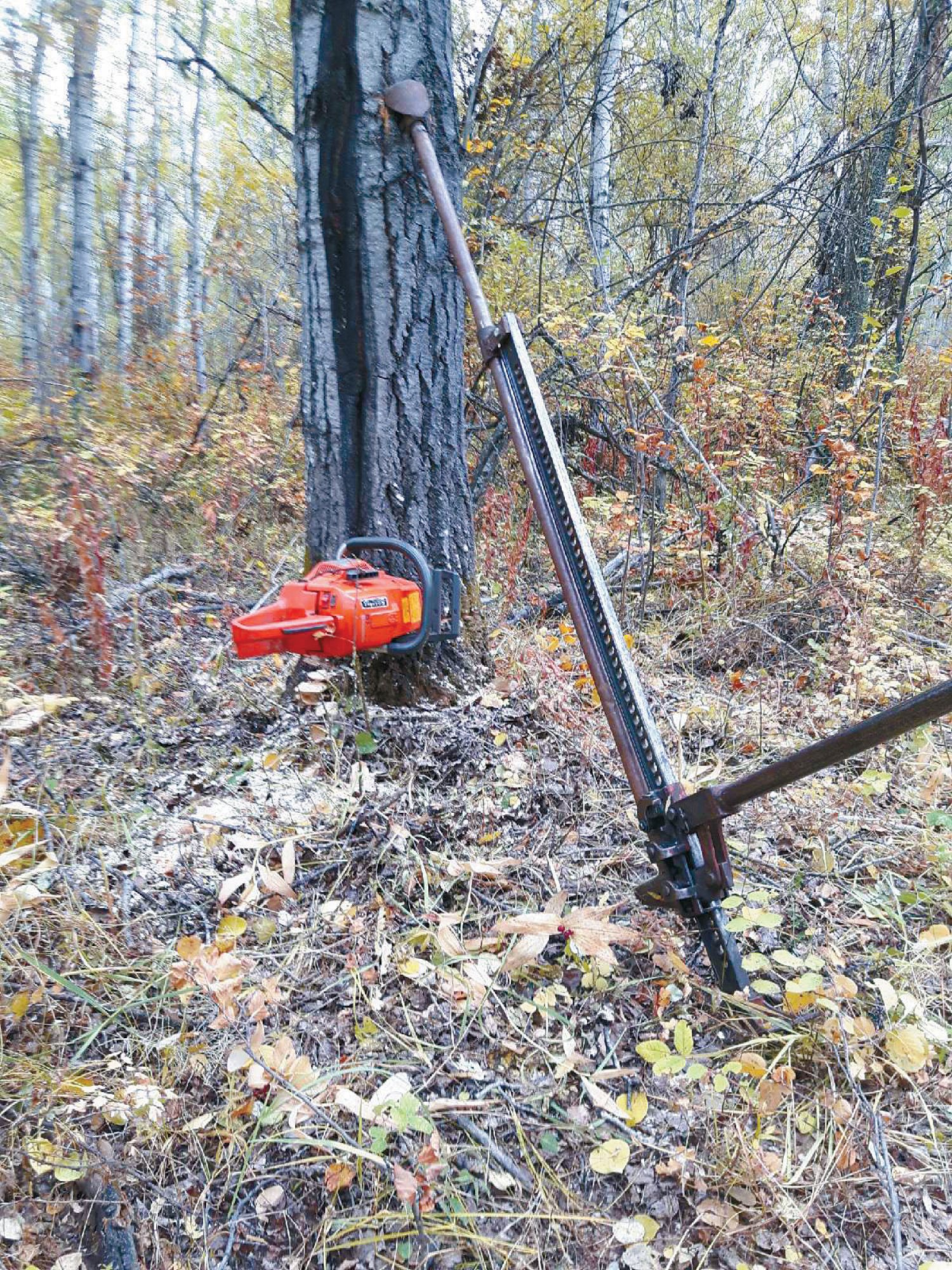 FARM SHOW Magazine - The BEST stories about Made-It-Myself Shop ...