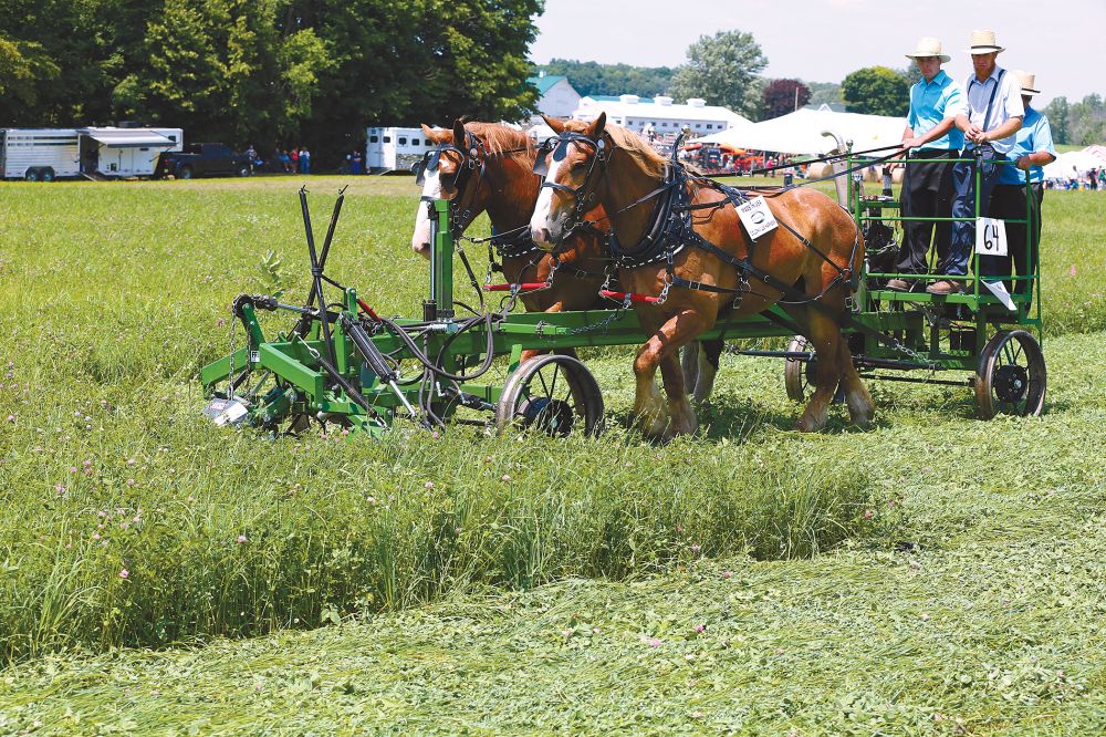 FARM SHOW Magazine - The BEST stories about Made-It-Myself Shop ...