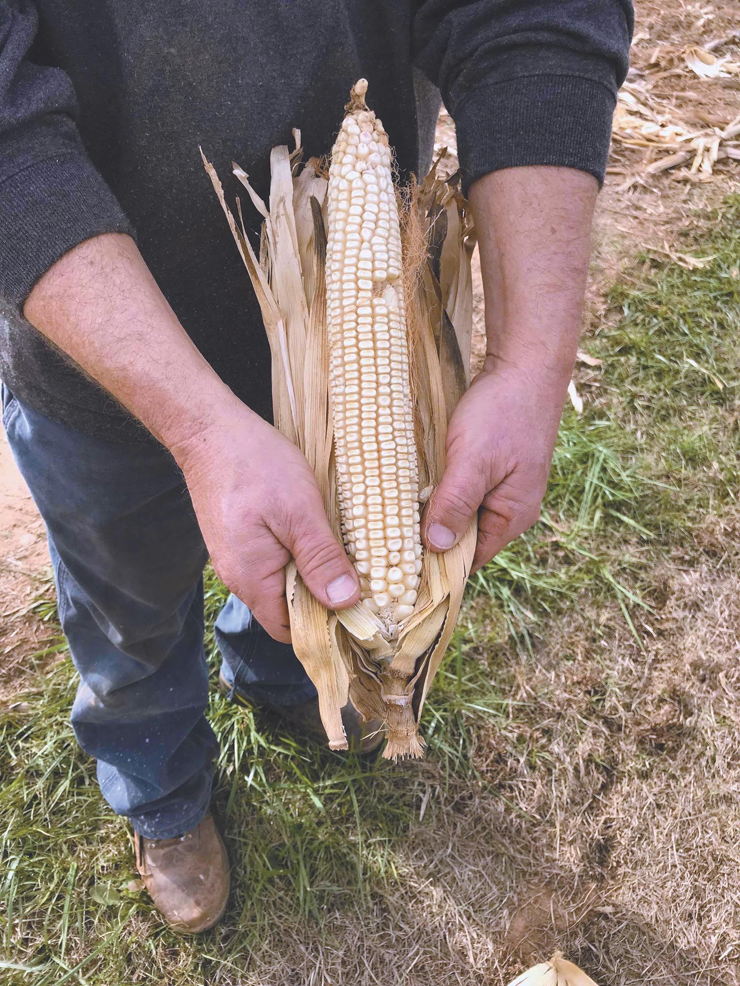 FARM SHOW Magazine - The BEST stories about Made-It-Myself Shop ...