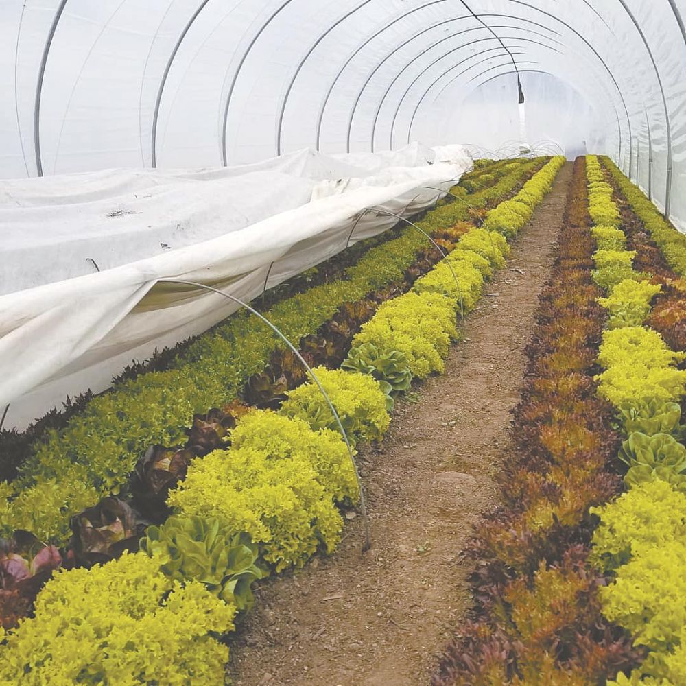 FARM SHOW Magazine - The BEST stories about Made-It-Myself Shop ...