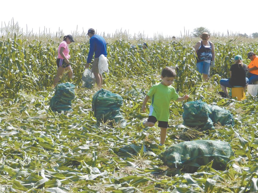 FARM SHOW Magazine - The BEST stories about Made-It-Myself Shop ...