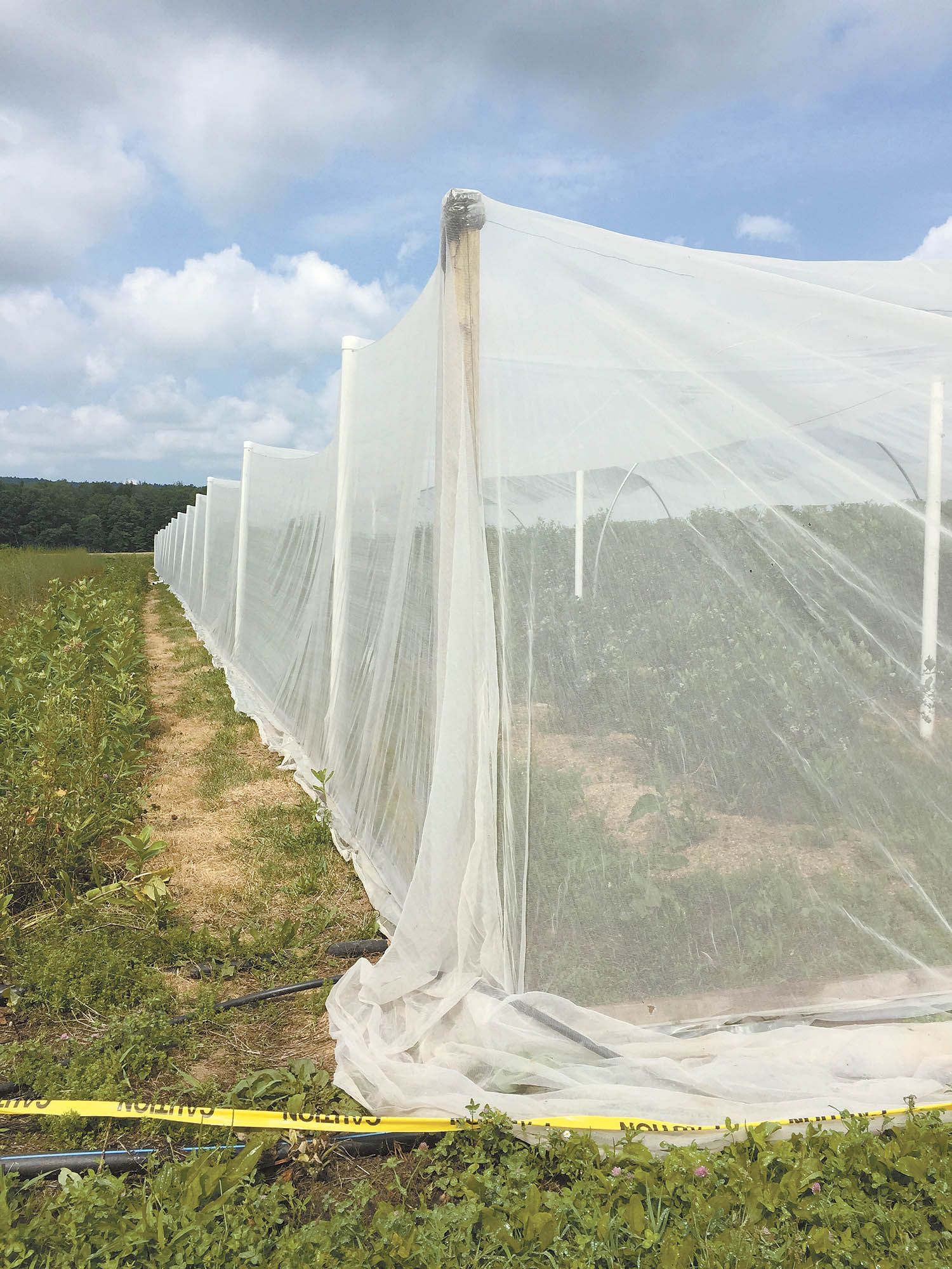 FARM SHOW Magazine - The BEST stories about Made-It-Myself Shop ...