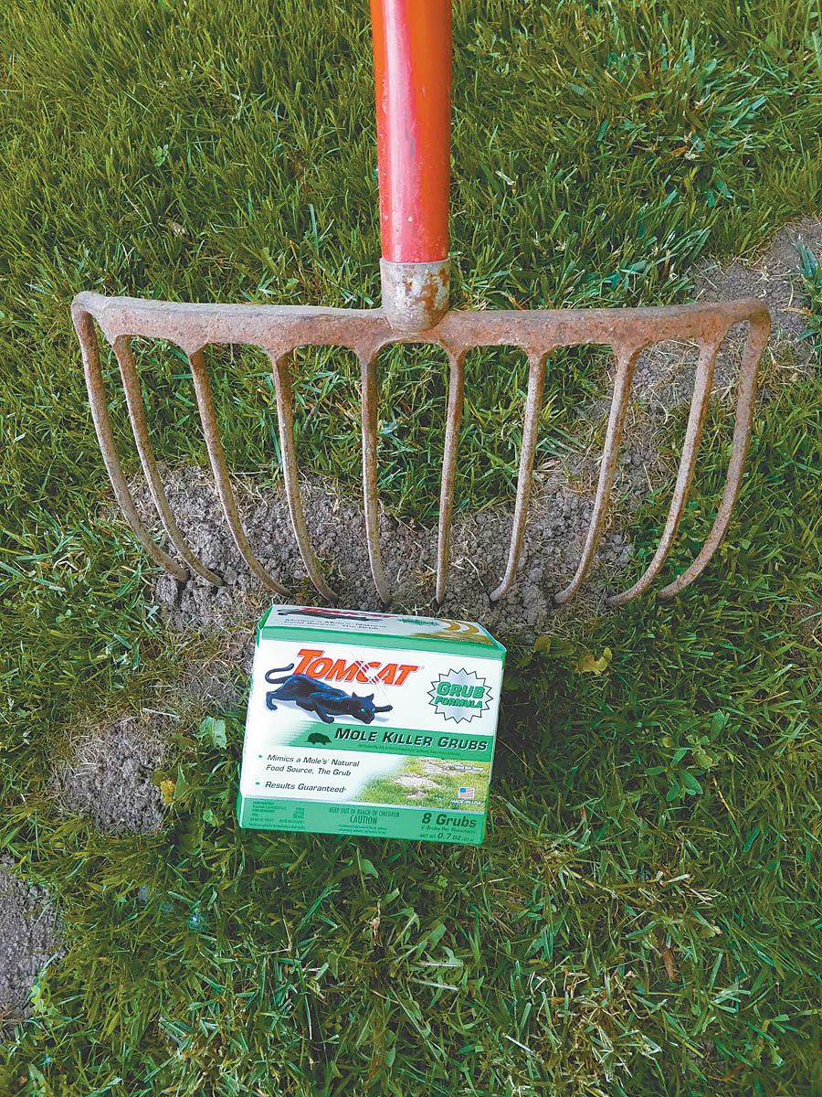 FARM SHOW Magazine - The BEST stories about Made-It-Myself Shop ...