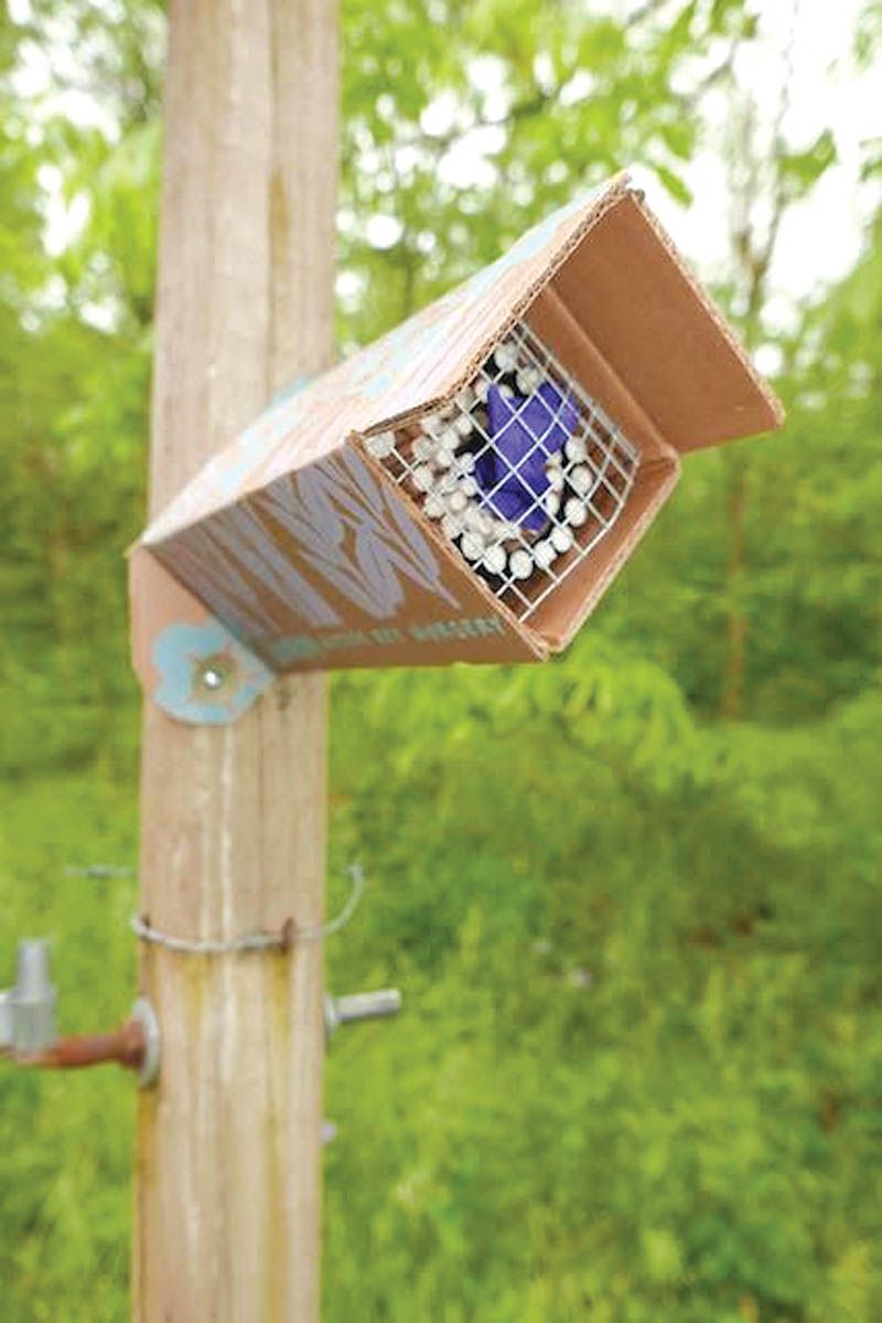 FARM SHOW Magazine - The BEST stories about Made-It-Myself Shop ...