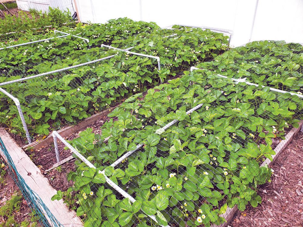 FARM SHOW Magazine - The BEST stories about Made-It-Myself Shop ...