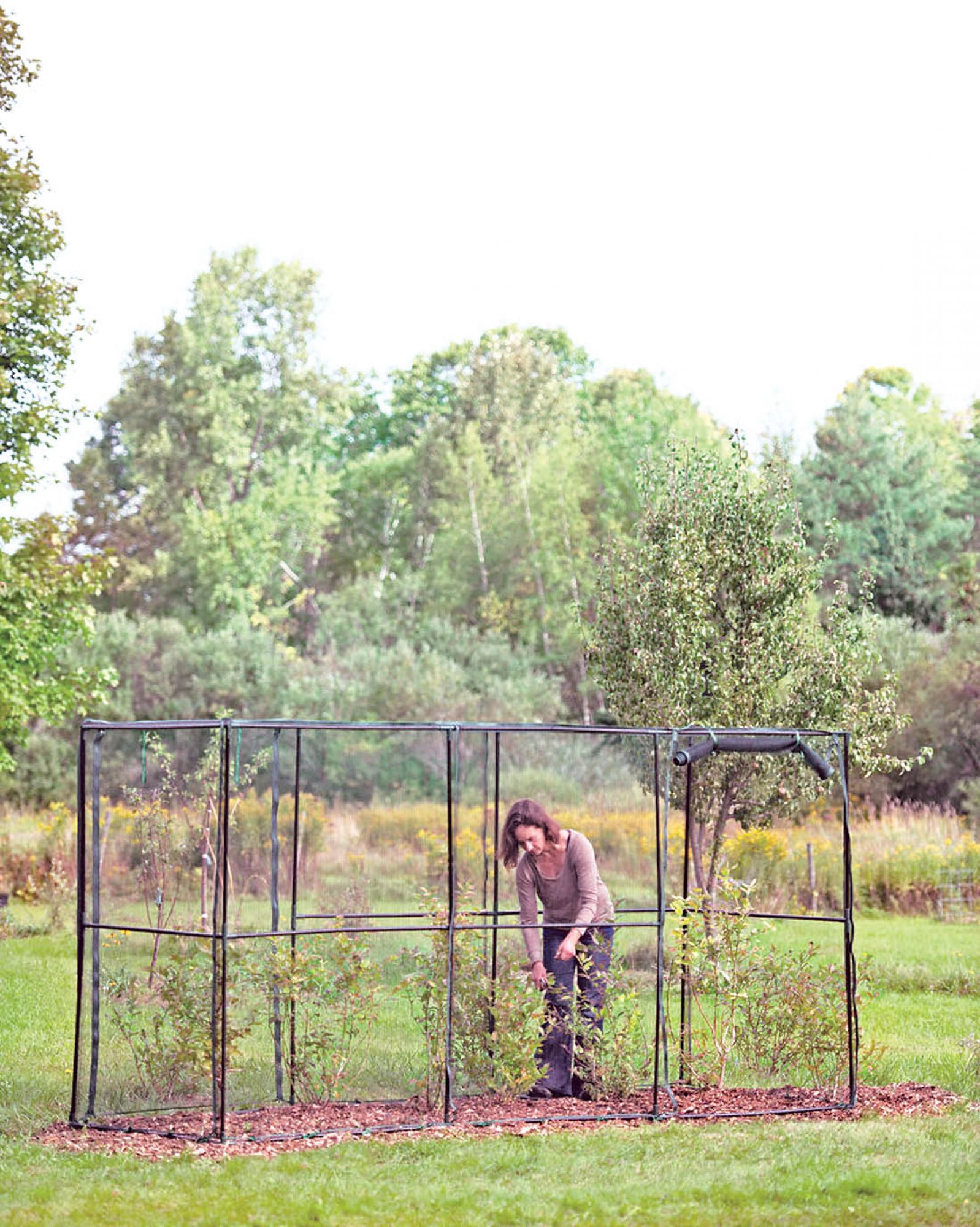 FARM SHOW Magazine - The BEST stories about Made-It-Myself Shop ...