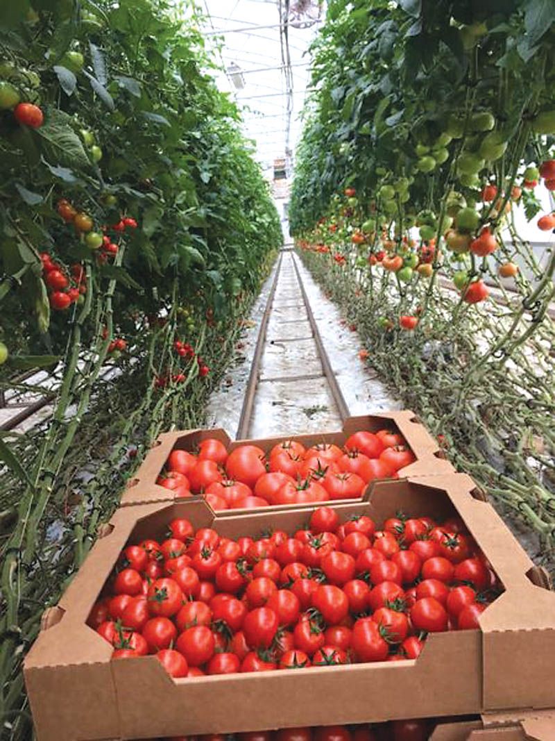 FARM SHOW Magazine - The BEST stories about Made-It-Myself Shop ...