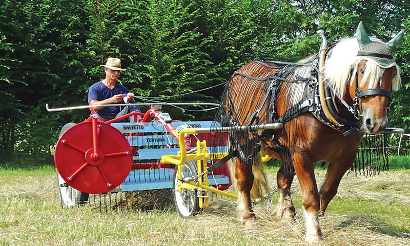 FARM SHOW Magazine - The BEST stories about Made-It-Myself Shop ...
