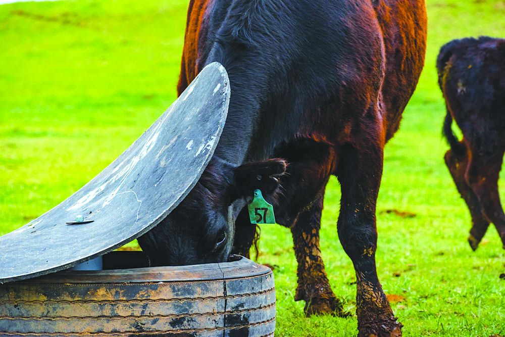 FARM SHOW Magazine - The BEST stories about Made-It-Myself Shop ...