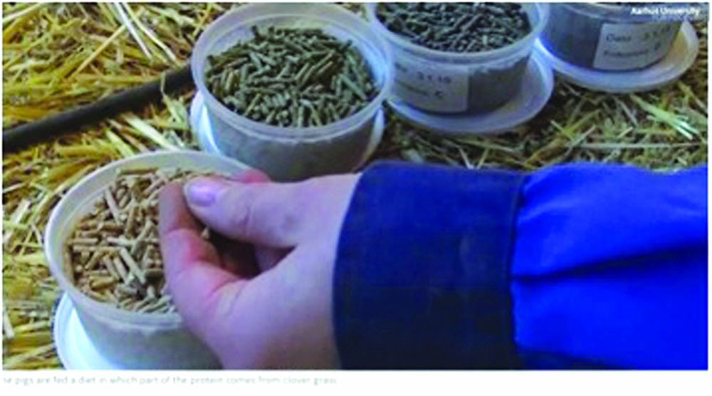 FARM SHOW Magazine - The BEST stories about Made-It-Myself Shop ...