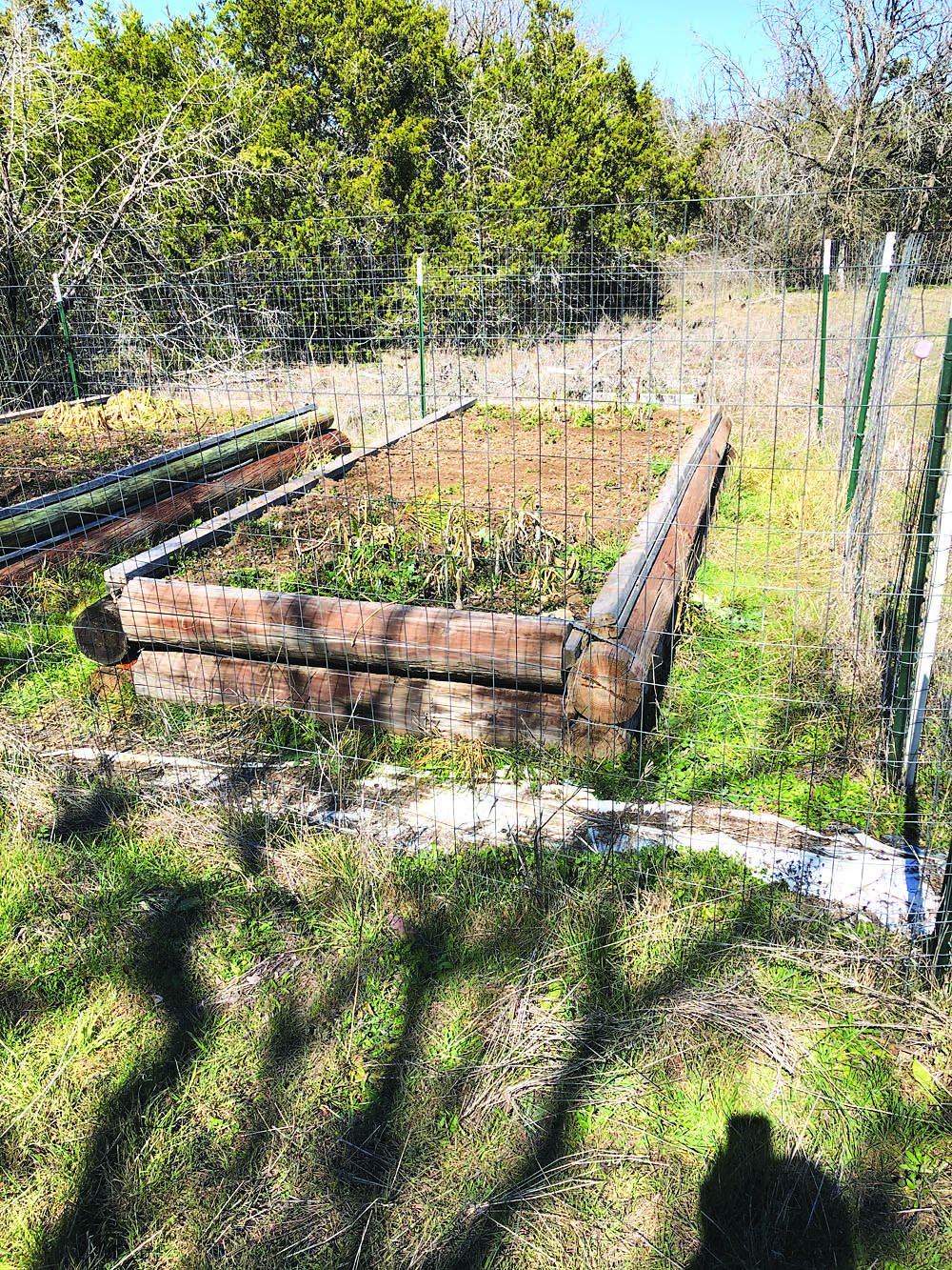 Raised Bed Garden Designs With Poles 32 Raised Garden Bed Design Ideas