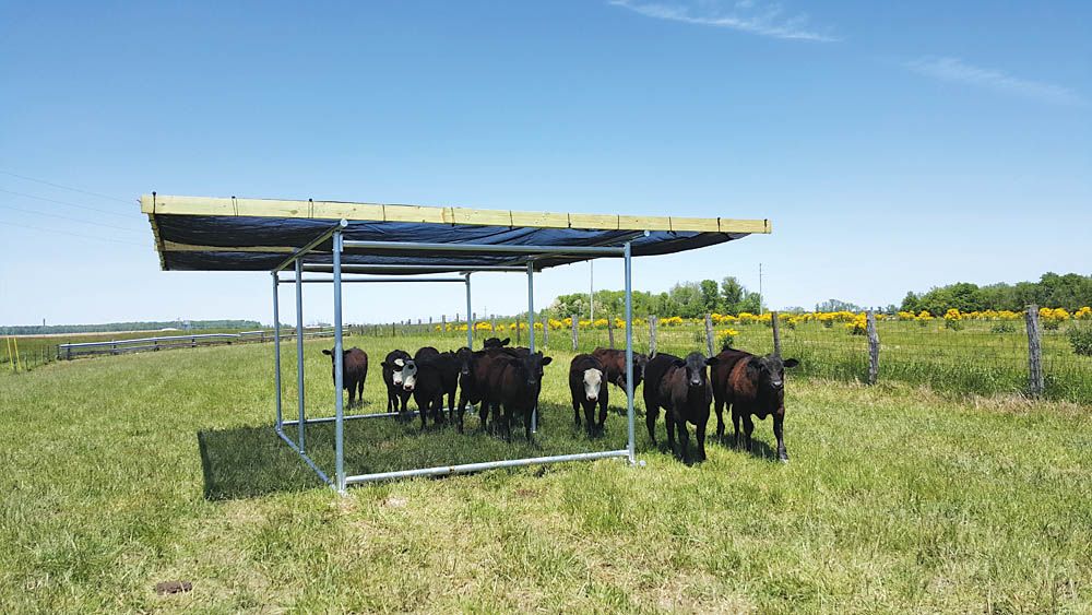 FARM SHOW Magazine - The BEST stories about Made-It-Myself Shop ...