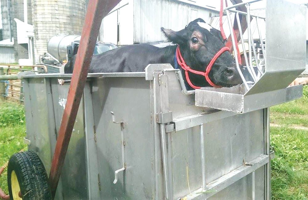 FARM SHOW Magazine - The BEST stories about Made-It-Myself Shop ...