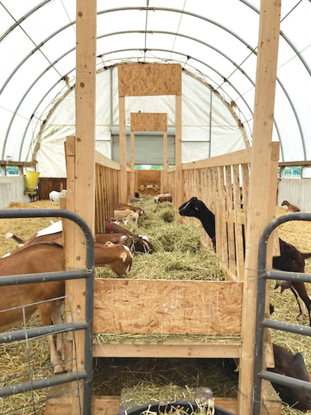 FARM SHOW Magazine - The BEST stories about Made-It-Myself Shop ...