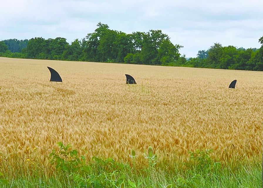 FARM SHOW Magazine - The BEST stories about Made-It-Myself Shop ...