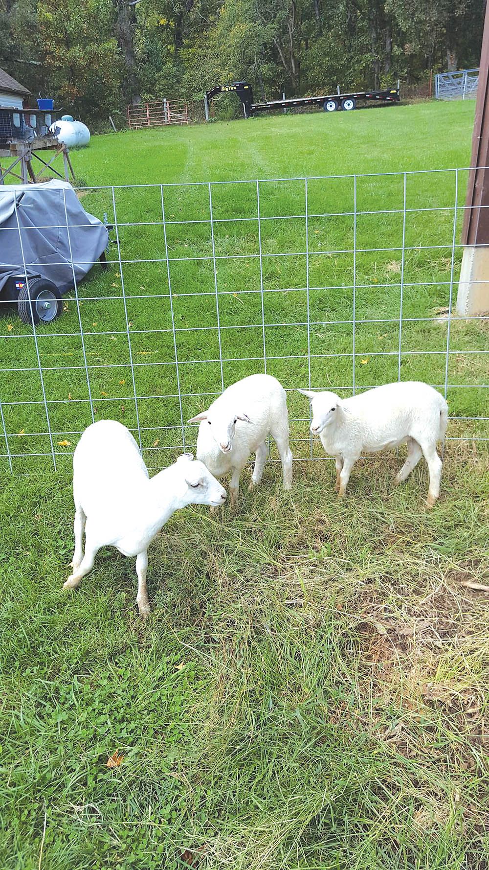 FARM SHOW Magazine - The BEST stories about Made-It-Myself Shop ...