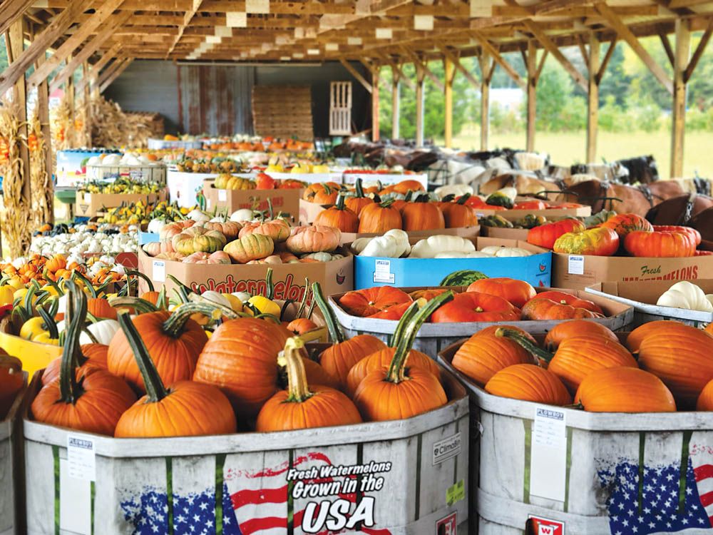 FARM SHOW Magazine - The BEST stories about Made-It-Myself Shop ...