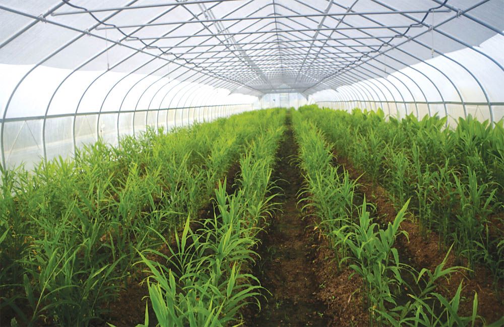 FARM SHOW Magazine - The BEST stories about Made-It-Myself Shop ...