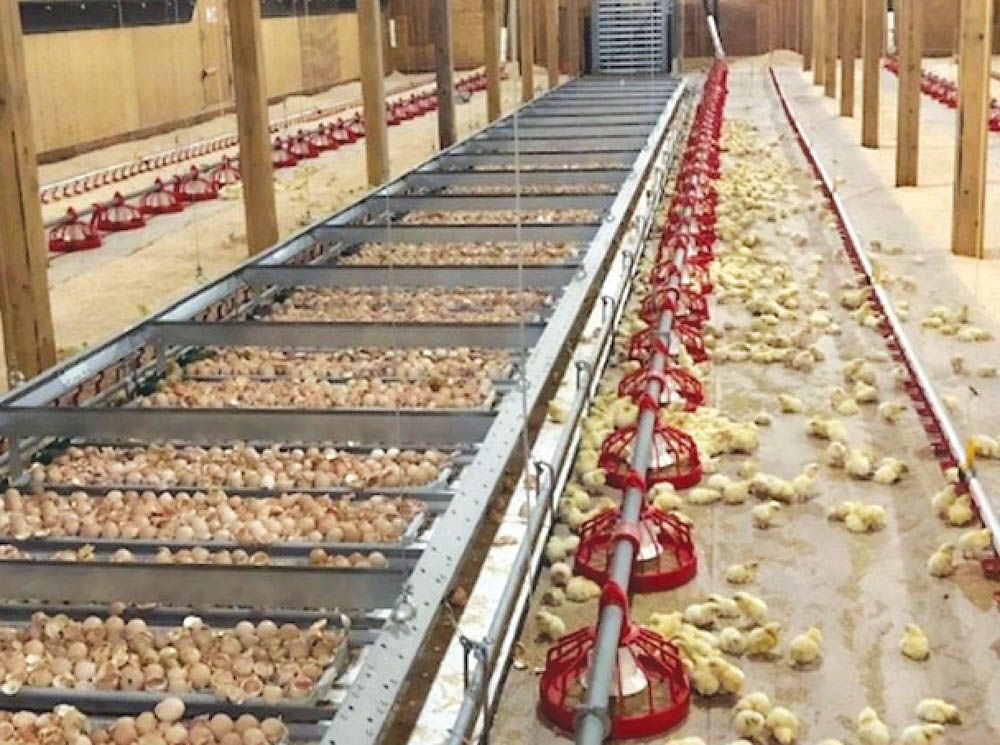 FARM SHOW Magazine - The BEST stories about Made-It-Myself Shop ...