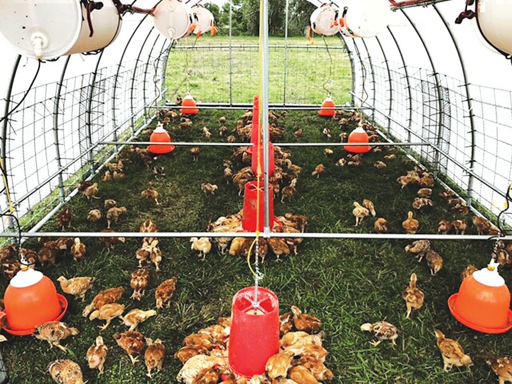 FARM SHOW Magazine - The BEST stories about Made-It-Myself Shop ...