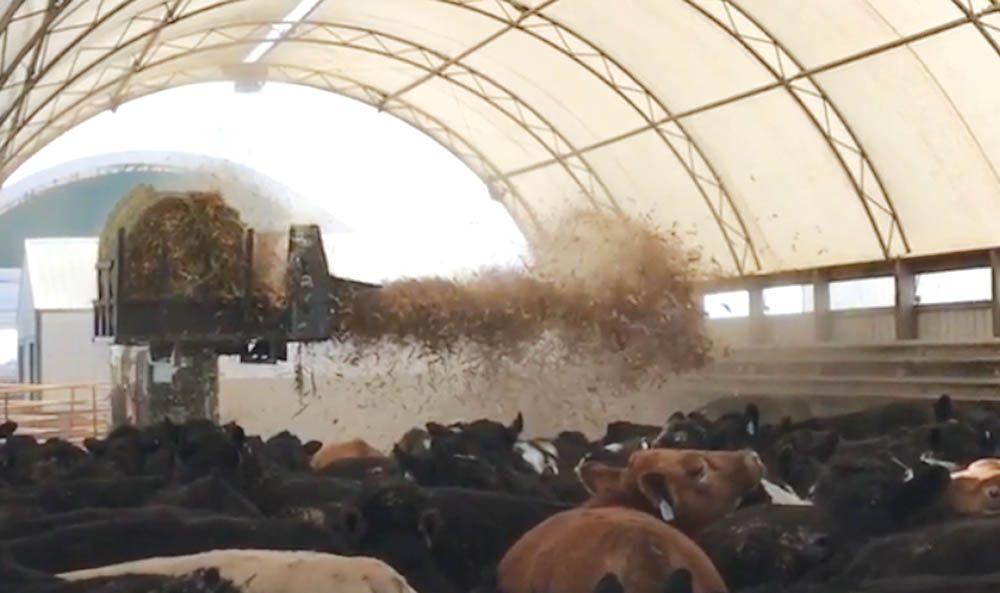 FARM SHOW Magazine - The BEST stories about Made-It-Myself Shop ...