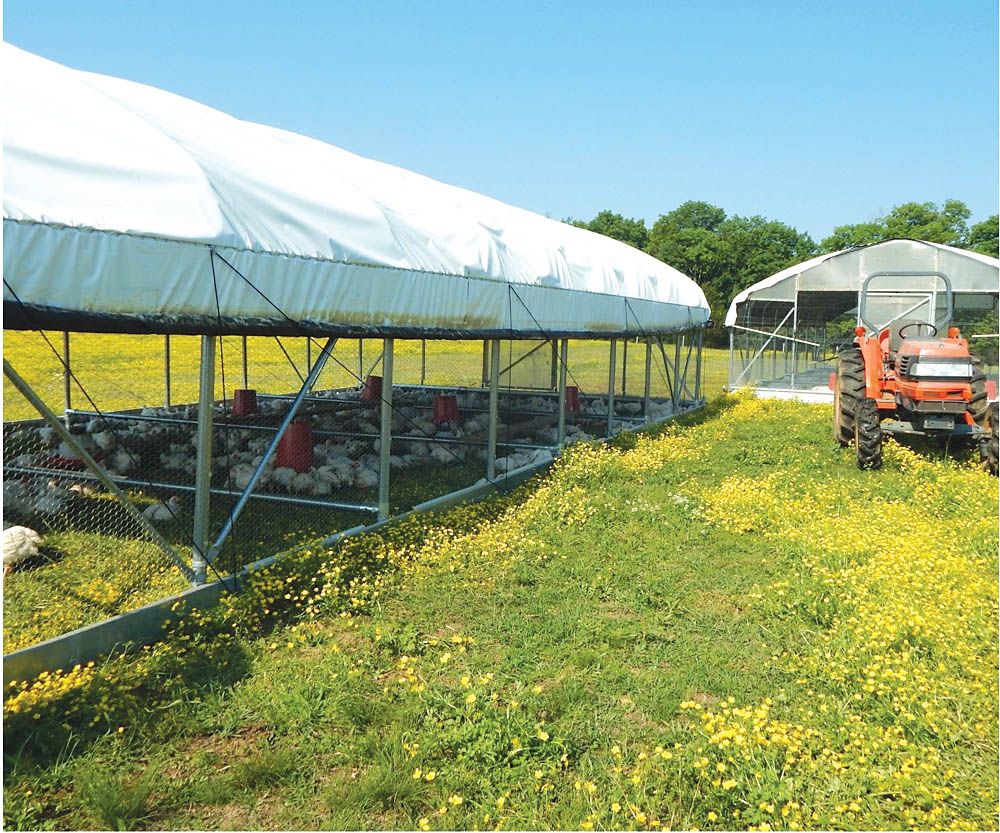 FARM SHOW Magazine - The BEST stories about Made-It-Myself Shop ...