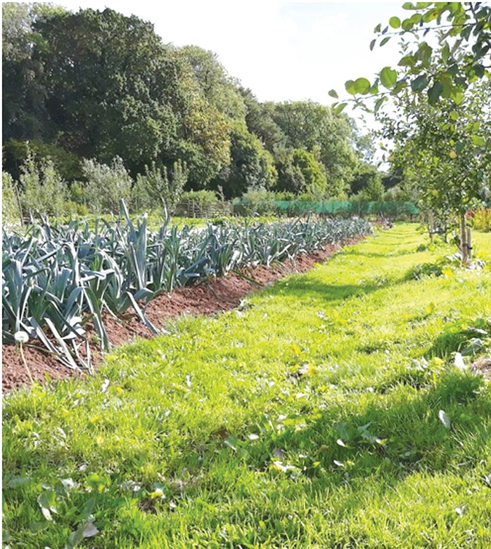 FARM SHOW Magazine - The BEST stories about Made-It-Myself Shop ...