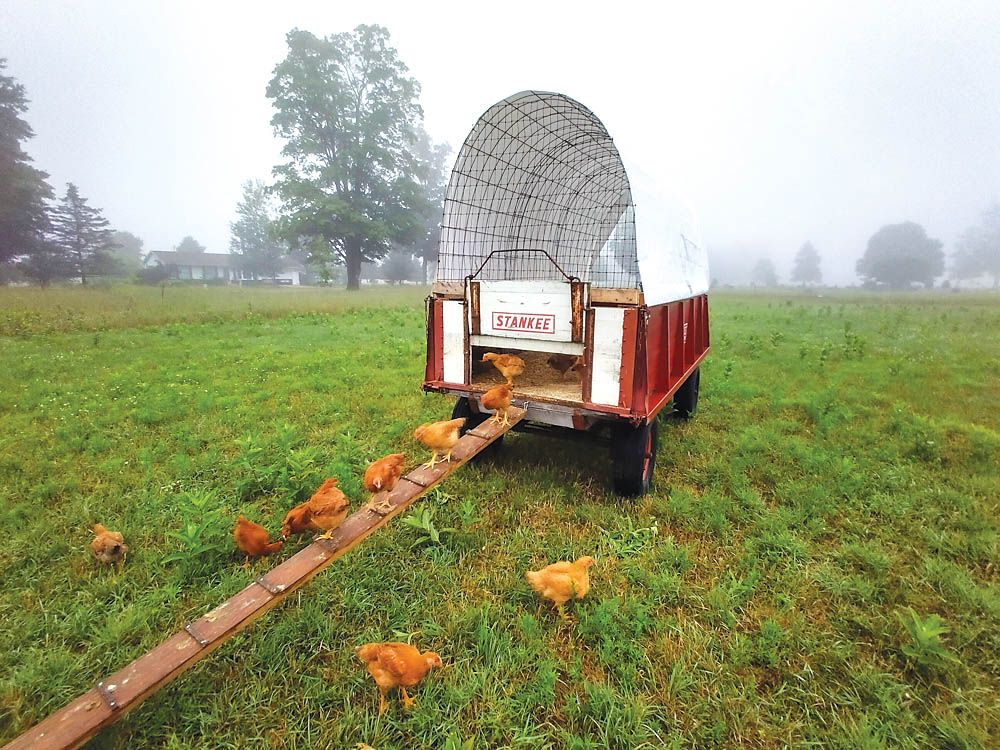 FARM SHOW Magazine - The BEST stories about Made-It-Myself Shop ...