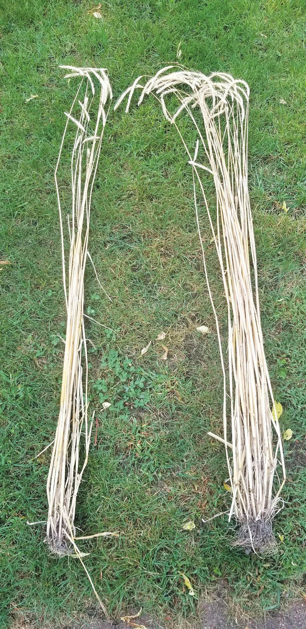 FARM SHOW Magazine - The BEST stories about Made-It-Myself Shop ...