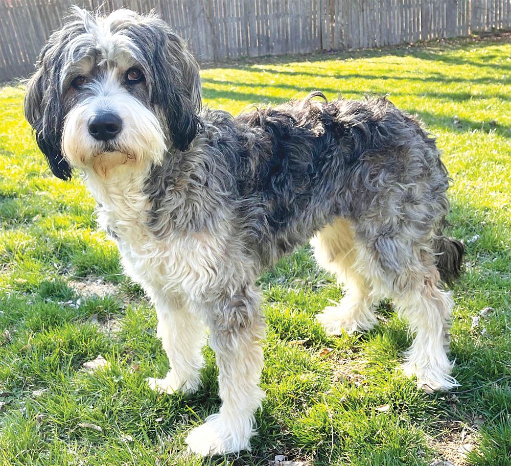 FARM SHOW Magazine - The BEST stories about Made-It-Myself Shop ...