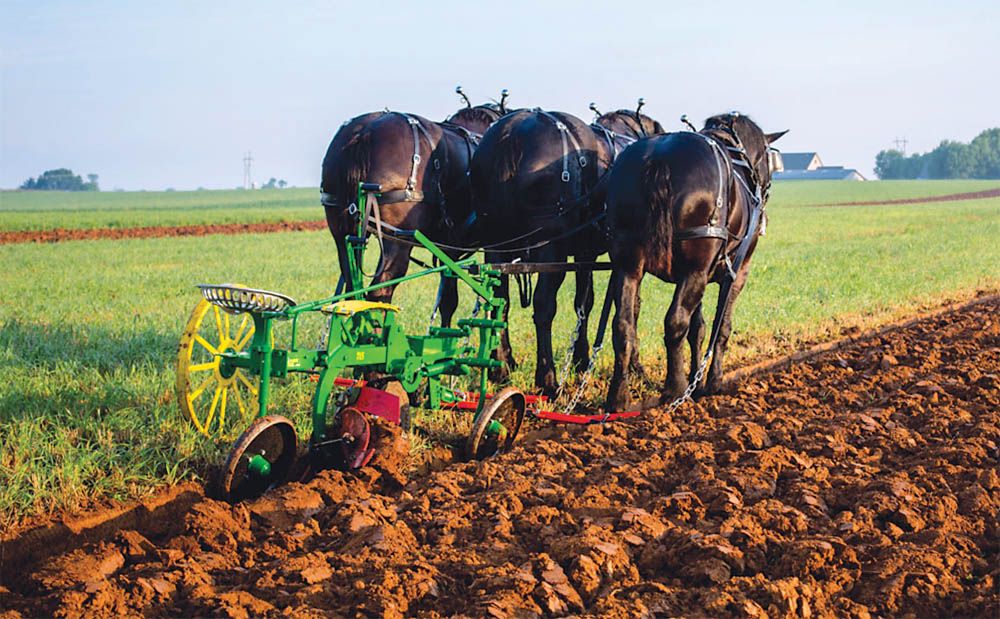 FARM SHOW Magazine - The BEST stories about Made-It-Myself Shop ...