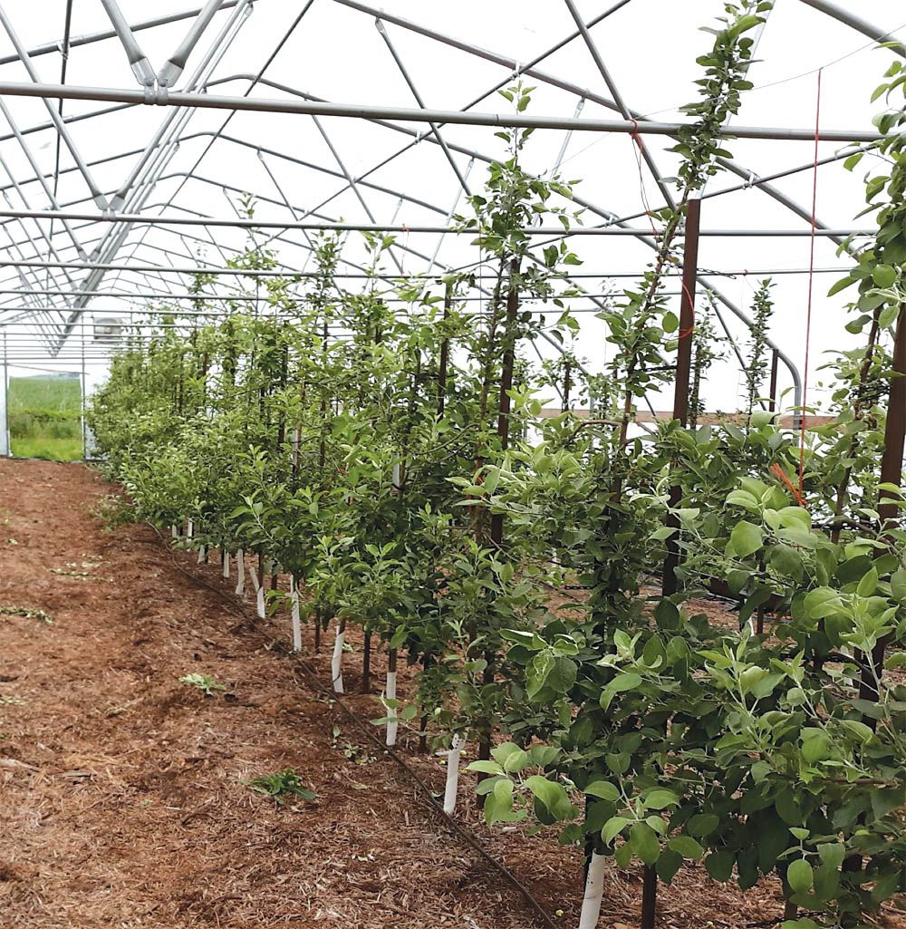 FARM SHOW Magazine - The BEST stories about Made-It-Myself Shop ...