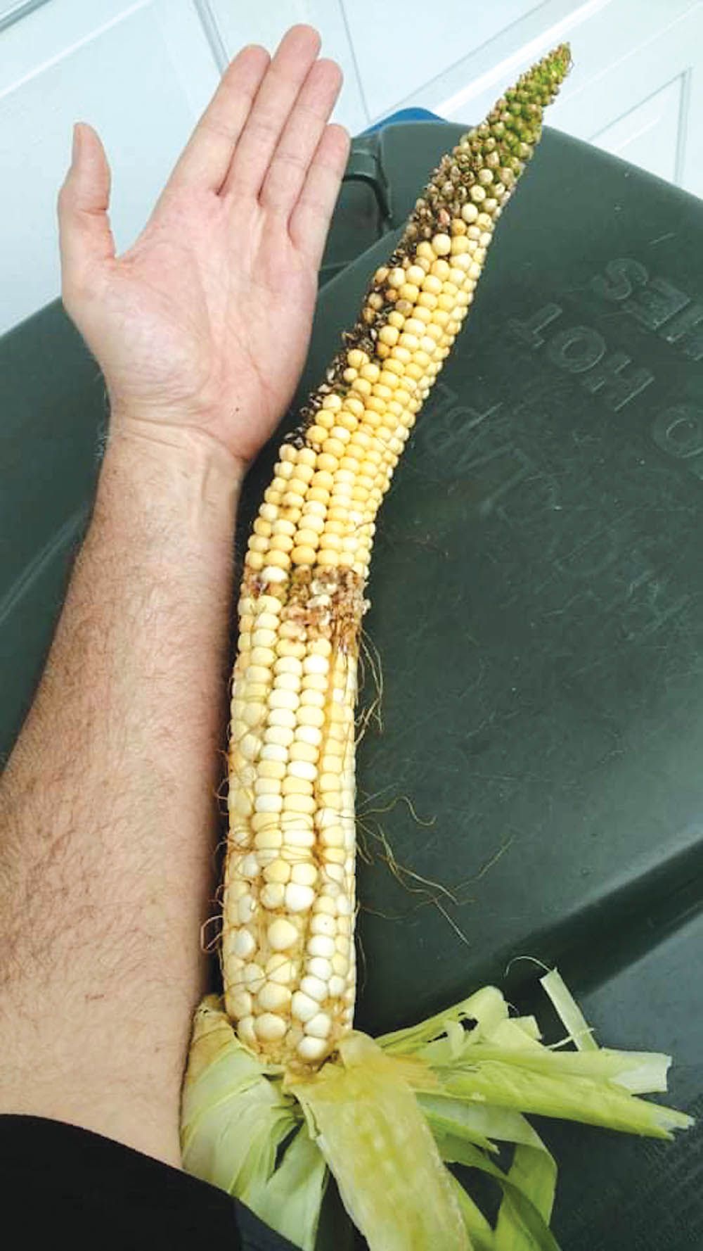 FARM SHOW Magazine - The BEST stories about Made-It-Myself Shop ...