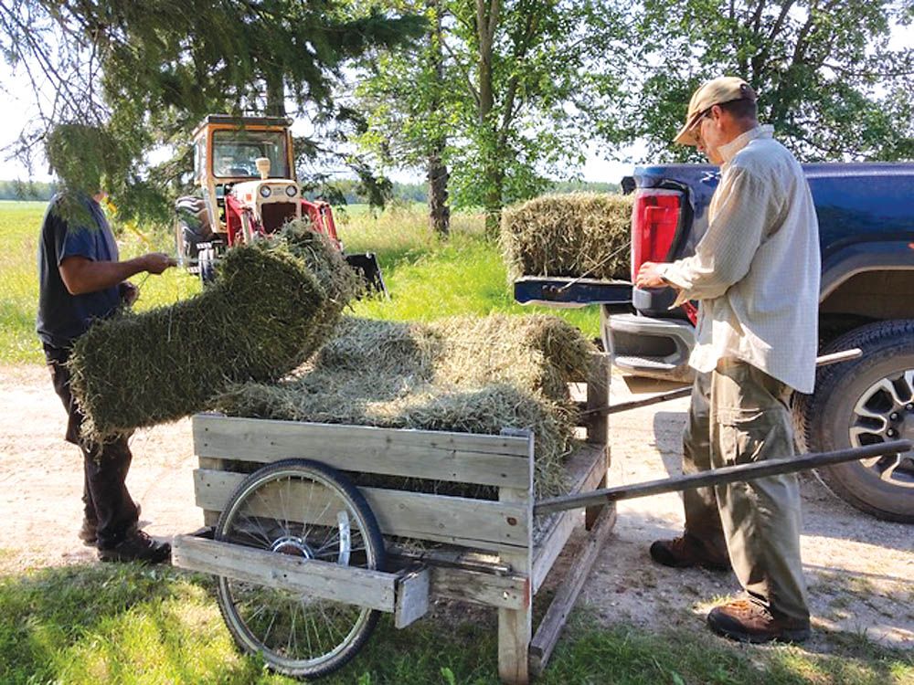 FARM SHOW Magazine - The BEST stories about Made-It-Myself Shop ...