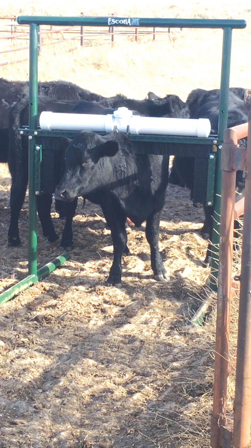 FARM SHOW Magazine - The BEST stories about Made-It-Myself Shop ...