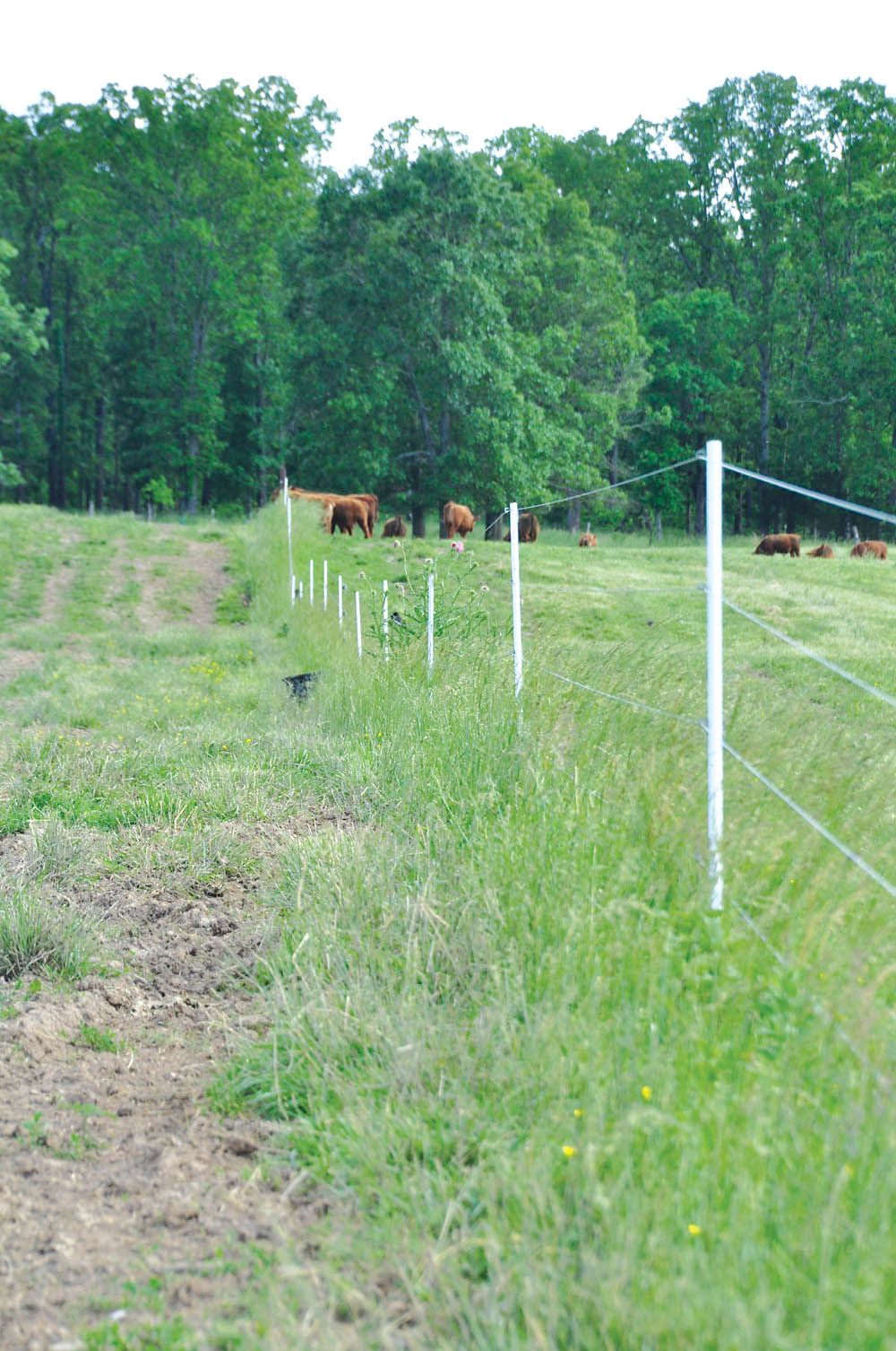 FARM SHOW Magazine - The BEST stories about Made-It-Myself Shop ...